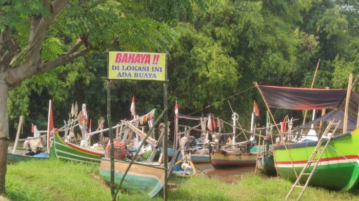 Nelayan Desa Bayeman Was-was Usai Foto Buaya Muara Diunggah di Medsos ...