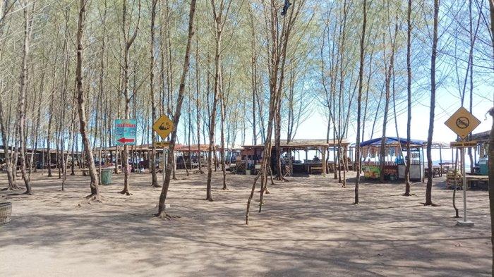 Musim Hujan Saat Liburan Nataru, Berikut Tempat Wisata di Jember Bisa ...