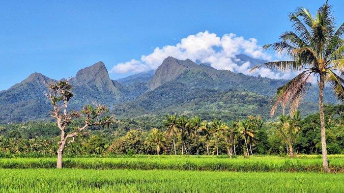 Mengenal Gunung Saeng Bondowoso, Lokasi Jatuhnya Remaja Pendaki Asal ...