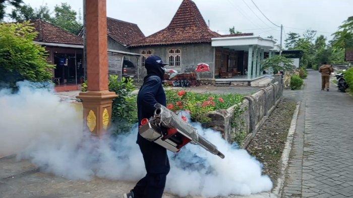 Terjadi Ledakan Kasus Demam Berdarah di Tulungagung, Sejumlah Rumah ...