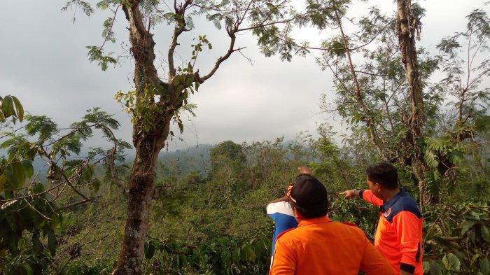 Setelah Gunung Raung, Kini Hutan di Lereng Gunung Argopuro Jember ...