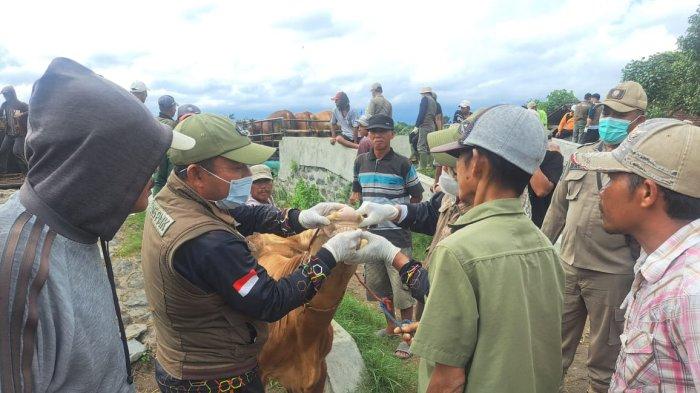 Penetapan Status KLB Belum Jadi Opsi Utama Pemkab Lumajang Kendati ...