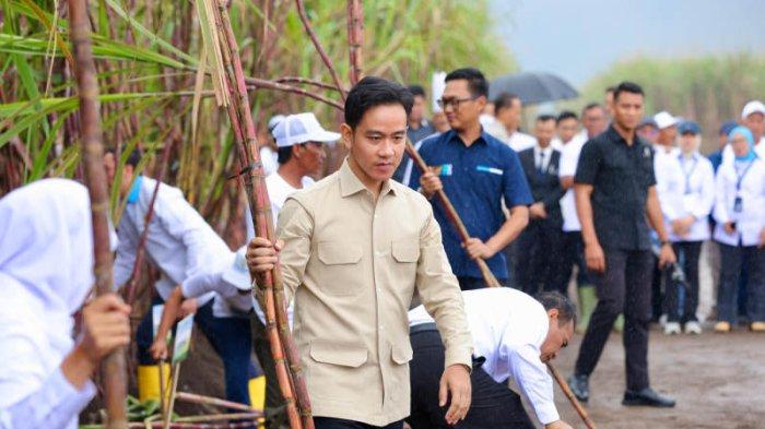 Jatim Target Produksi 1,4 Juta Ton Gula Tahun Ini - tribunjatim-timur.com