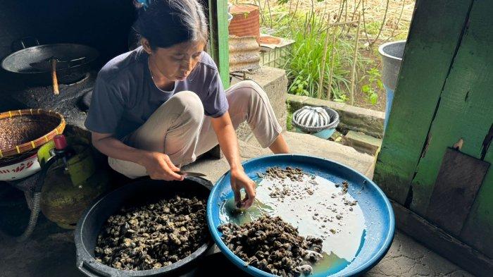 Aneka Olahan Bekicot, Kuliner Khas Unik dan Ikonik dari PlosoKidul Kediri - tribunjatim-timur.com