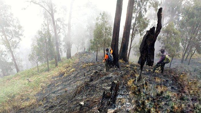 5 Hari Kebakaran Hutan di Tahura R Soerjo Pacet Mojokerto, Titik Api ...