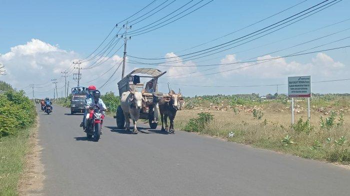 Pertamina Rosneft Bakal Bebaskan Lahan Jalan Warga di Jenu Tuban, Warga ...
