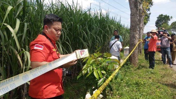 Lewat di Persawahan Tulungagung, Warga Blitar Curiga Ada Kardus, Saat ...