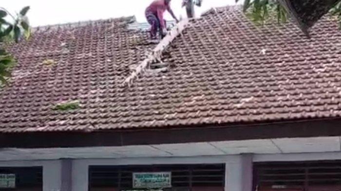 Hujan Deras dan Angin Kencang Sapu Dua Kecamatan di Lamongan, Atap Sekolah Ambrol Pohon ...