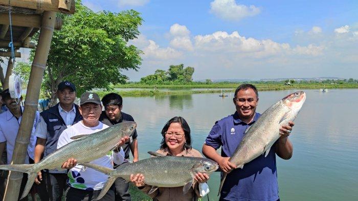 Kontes Bandeng Kawak Tradisi saat Ramadan di Gresik Resmi Dimulai ...