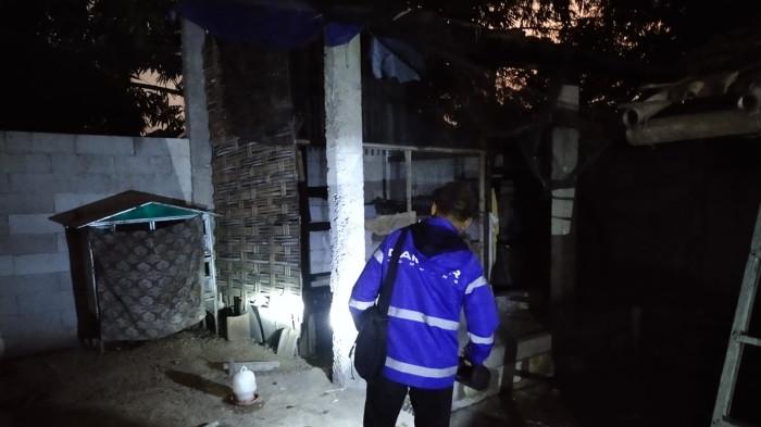 Serangan Monyet Liar di Jombang Terulang, Bocah 7 Tahun Luka Parah ...