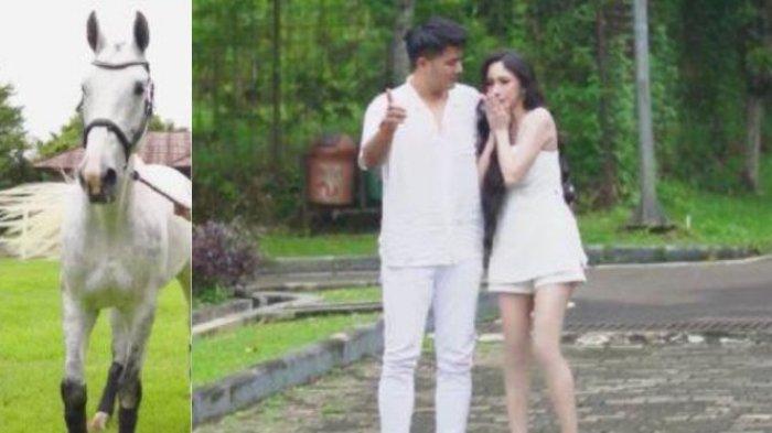 Tak Beri Bunga, Artis Beri Istri Kuda Putih Miliaran Rupiah, Sang Istri Nangis: Dikirim dari ...
