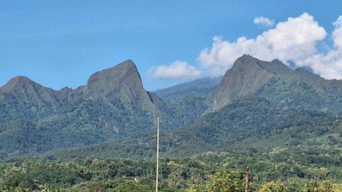 Mengenal Gunung Saeng di Bondowoso, Lokasi Jatuhnya Pendaki Asal Jember ...