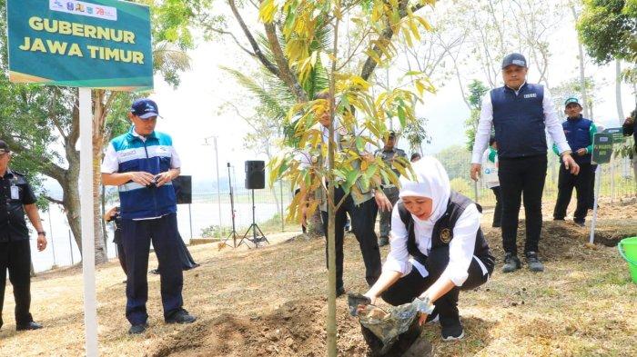 Lawan Perubahan Iklim, Gubernur Khofifah Gencarkan Aksi Tanam Pohon - Tribunjatim.com