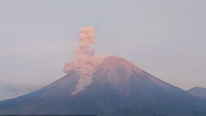Gunung Semeru Jawa Timur Kembali Erupsi, Semburkan Abu VulkaniK - Tribuntoraja.com