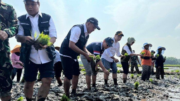 Hasil Panen Padi Capai 318 Ribu Ton, Pemkab Mojokerto Siap Dukung Swasembada Pangan Nasional ...