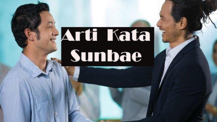 Arti Kata Sunbae, Istilah yang Viral di TikTok, Pecinta Drakor Wajib Tahu, Beda dengan Sunbaenim ...