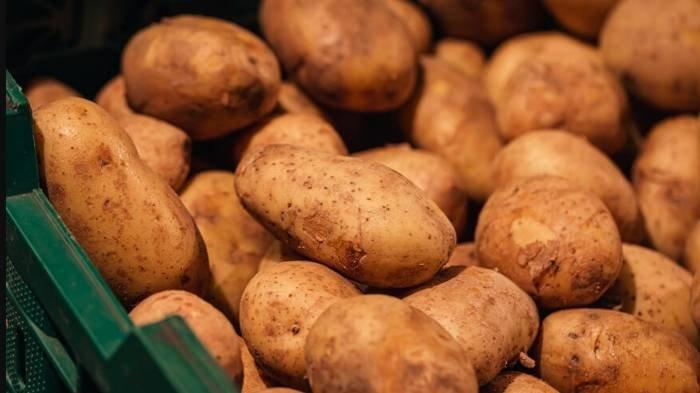 Cara Memasak Kentang untuk Menu Diet yang Rendah Kalori, Direbus hingga ...