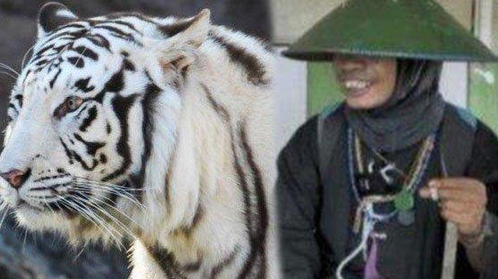 Nama Asli Joko Kendil, Musafir 'Naik Macan Putih' Viral di TikTok, Jalan Tanpa Alas Kaki Sejak ...