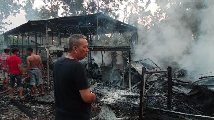Kandang di Ponorogo Terbakar, 14 Ribu Ayam Mati Terpanggang, Kerugian Capai Rp 1,3 Miliar ...