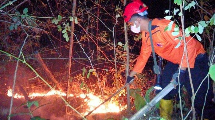 Kebakaran Hutan dan Lahan di Trenggalek, Hutan 1 Hektar Ludes Terbakar, Titik Api dari Lahan ...