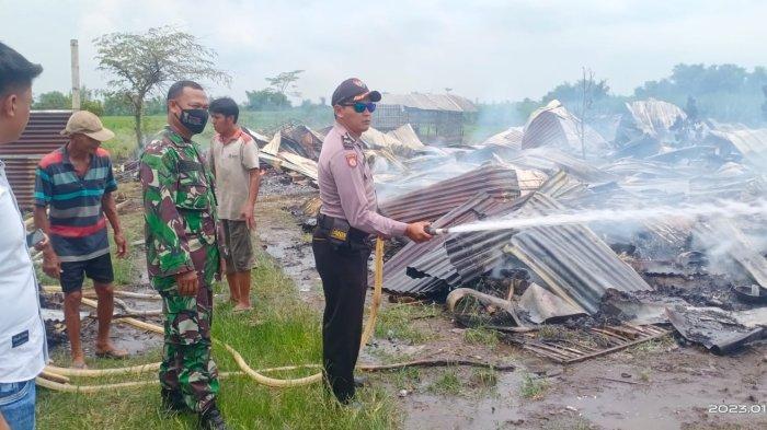 3 Kandang Ayam Milik Perangkat Desa di Kunjang Kediri Terbakar, Kerugian Capai Ratusan Juta ...