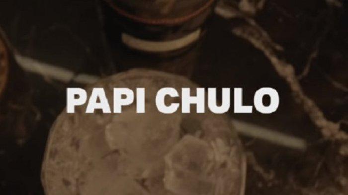 Arti Lirik Lagu Papi Chulo - Octavian feat Skepta, Viral di TikTok ...