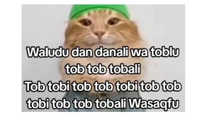 Terjemahan Lirik 'Tob Tobi Tob' Sawt Safiri El Bolboli yang Viral di TikTok, Dilengkapi Makna ...