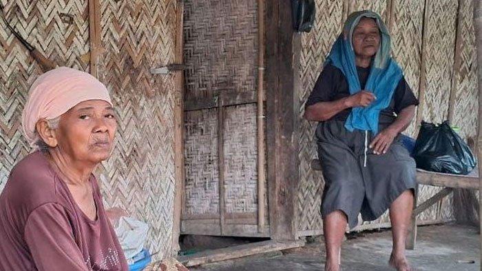Tinggal di Gubuk Reyot, Mbah Hotipah & Putriya Tak Tersentuh Bansos, Takut Rumahnya Roboh: Tabah ...