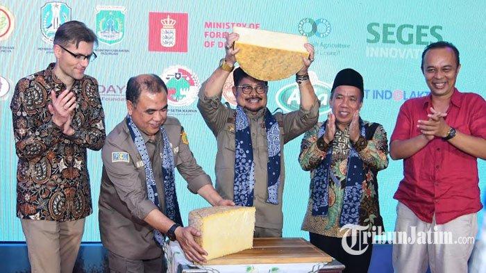 Koperasi Peternakan Sapi Perah di Pasuruan Produksi Susu dan Keju ...