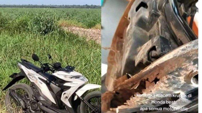 Jawaban AHM Honda soal Viral Rangka Motor Karatan dan Patah, Simak Cara ...