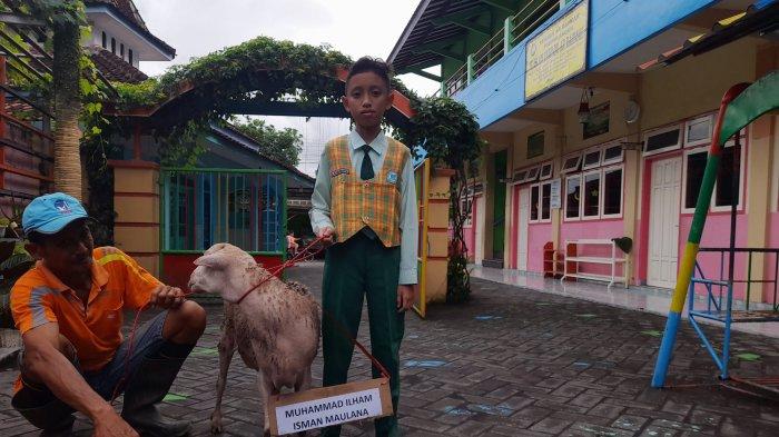 Kisah Siswa SD di Lumajang Beli Hewan Kurban, Hasil Nabung Selama 5 Tahun, Sisihkan 5 Ribu Per ...