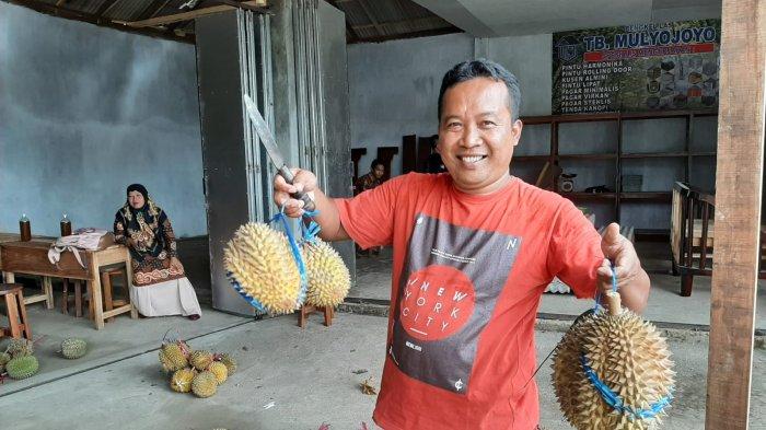 Musim Panen Raya Awal Tahun, Saatnya Berburu Durian di Desa Mlancu Kabupaten Kediri ...