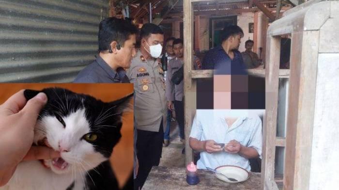 Alasan Nuryanto Bapak Kos Viral di Semarang Makan Daging Kucing ...