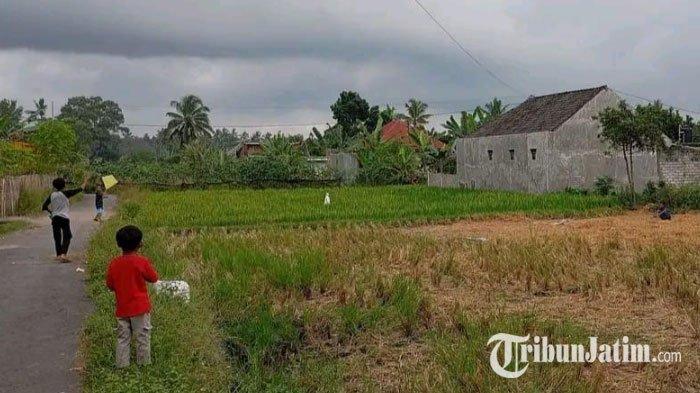 Peralihan Musim Kemarau di Sampang, Masyarakat Diimbau Hati-hati saat Main Layangan ...