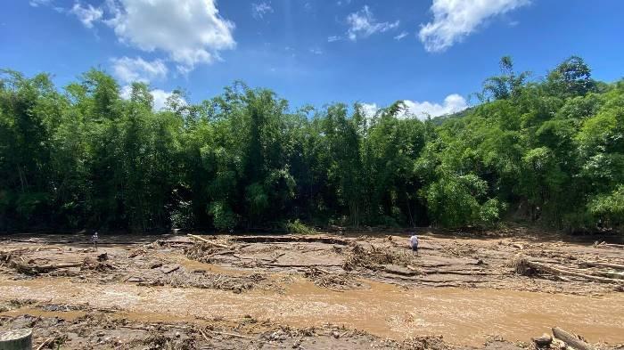 Sawah Jadi Sungai hingga 3 Jembatan Ambrol Akibat Banjir Bandang di Tlogosari Bondowoso ...