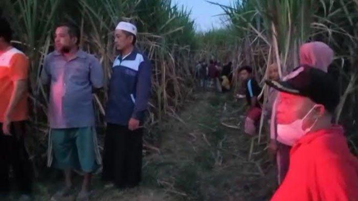 Dilaporkan Hilang Sepekan, Kakek 60 Tahun Ditemukan Tewas di Lahan Tebu Situbondo - Tribunjatim.com