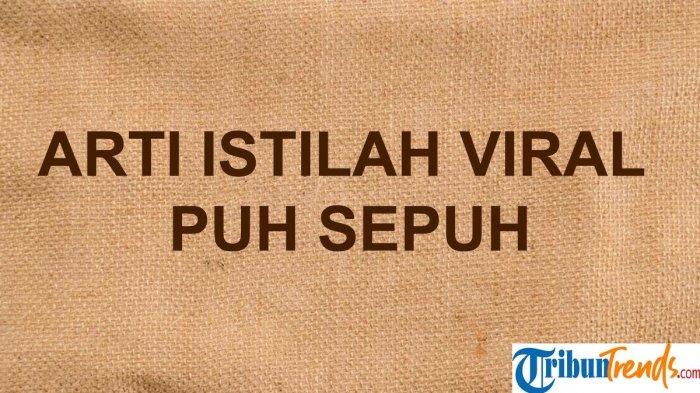 Arti Kata Sepuh dan Puh Sepuh, Bahasa Gaul yang Viral di Facebook ...