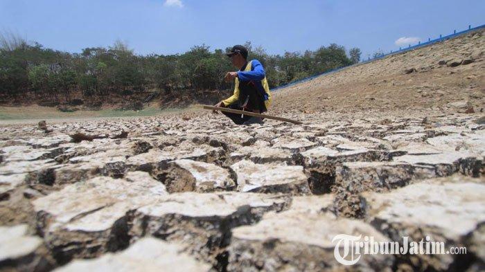 Ganasnya Kemarau Panjang di Magetan, 10 Waduk Alami Kekeringan Total, Warga Diimbau Hemat Air ...