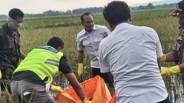 Pergi dari Rumah Tanpa Pamit, Nenek di Bojonegoro Ditemukan Tewas Mengambang di Persawahan ...