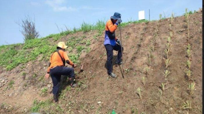 Cegah Longsor pada Rel, KAI Daop 8 Surabaya Lakukan Penanaman Rumput ...