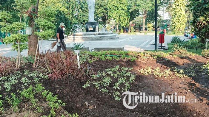 Pemkot Surabaya segera Perbaiki Tanaman dan Fasilitas yang Rusak Akibat ...