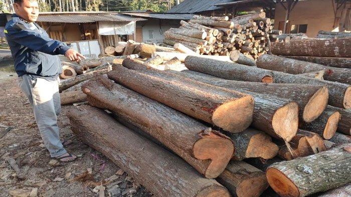 4 Pria asal Malang Panik saat Polisi Gerebek Rumah, Tak Berkutik Gegara ...