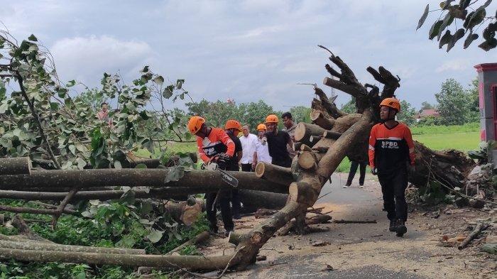Angin Kencang di Blitar Pohon Bertumbangan, Ada yang Menimpa Warung hingga Tutup Akses Jalan ...