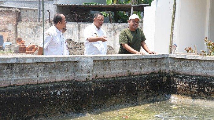 Pemkab Kediri Dorong Budidaya Lele Inovasi Produk Olahan untuk ...