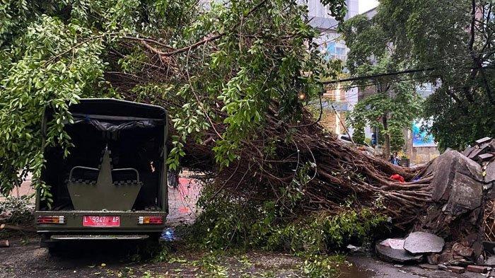 Mobil Satpol PP Surabaya Tertimpa Pohon Tumbang, Sopir Melompat Keluar ...