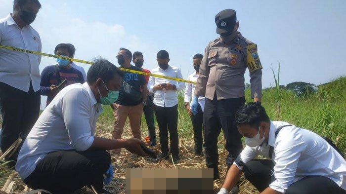 Pekerja Mojokerto Cium Bau Tak Sedap, Dikira Bangkai Tikus, Ternyata Kerangka Manusia di Lahan ...