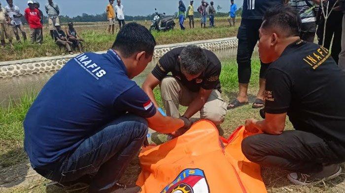 Diduga Dibunuh Secara Kejam, Identitas Wanita Tewas di Jember dengan Luka di Leher Masih Misteri ...