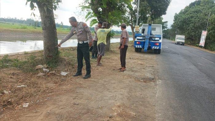 Tertabrak Truk Oleng, Sopir Pikap Meregang Nyawa di Jalan Raya Jember-Lumajang - Tribunjatim.com