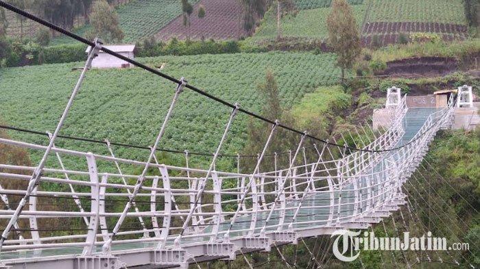 Pemkab Probolinggo Pastikan Jembatan Kaca Seruni Point Kawasan Bromo ... Pemkab Probolinggo Pastikan Jembatan Kaca Seruni Point Kawasan Bromo ...