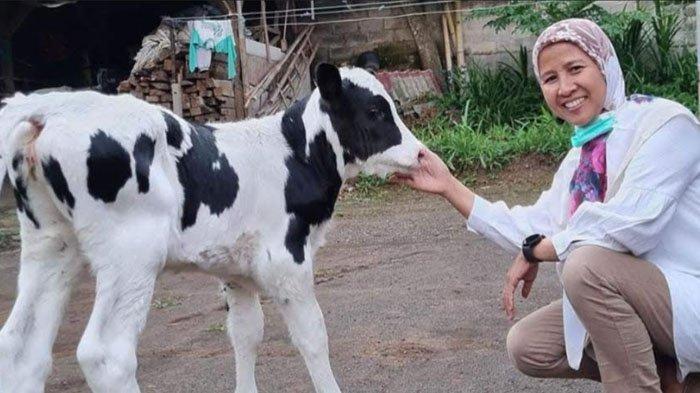 Usia Lebih Setengah Abad, Nestle Berkomitmen Berdayakan Peternakan Sapi ... Usia Lebih Setengah Abad, Nestle Berkomitmen Berdayakan Peternakan Sapi ...